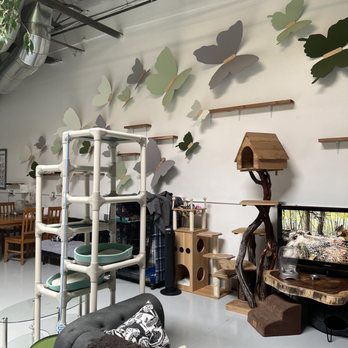 KITTY KISSES CAT CAFE - Updated August 2025 - 158 Photos & 66 Reviews ...