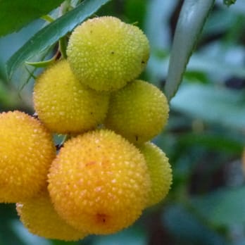 SUE BIERMAN PARK - Updated October 2025 - 180 Photos & 14 Reviews - 216 ...