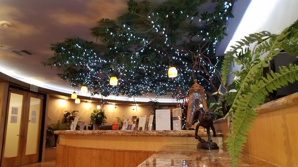 TEMECULA VALLEY ADVANCED IMAGING - Updated June 2024 - 40 Photos & 63 ...