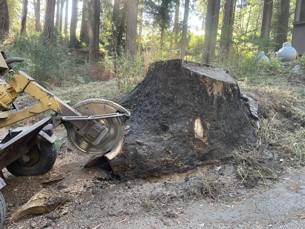 EASLEY TREE & STUMP SERVICE - Updated September 2025 - 13 Photos & 20 ...