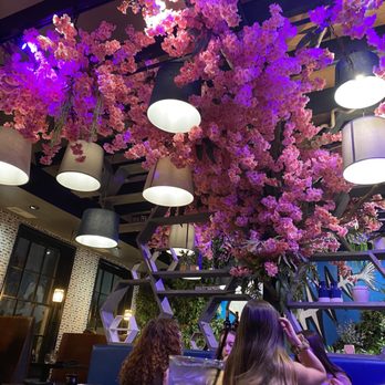 LAZY FISH - Updated July 2024 - 441 Photos & 482 Reviews - 10 E Patrick ...