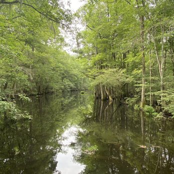 FRANCIS BEIDLER FOREST AUDUBON CENTER - Updated November 2025 - 72 Photos & 16 Reviews - 336 ...