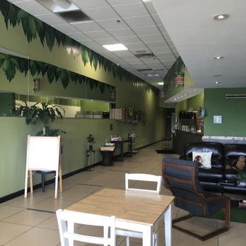 THE FRESH MONKEE - Updated November 2025 - 107 Photos & 72 Reviews ...