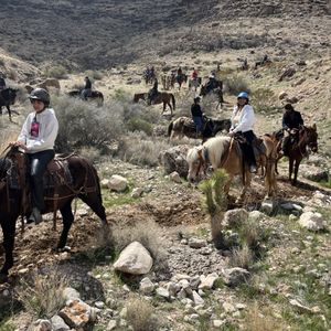 COWBOY TRAIL RIDES - 285 Photos & 150 Reviews - 4053 Fossil Ridge Rd ...