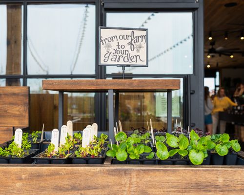 HARVEST MARKET AT FOX POINT FARMS - Updated December 2025 - 137 Photos ...