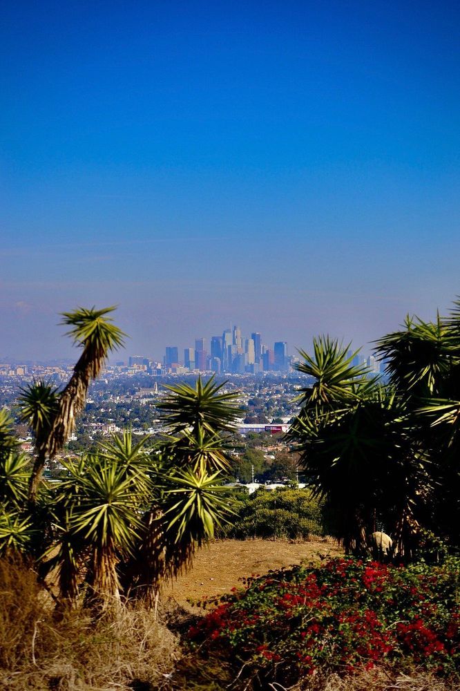 CITY OF CULVER CITY - Updated September 2024 - 25 Photos - 9770 Culver ...