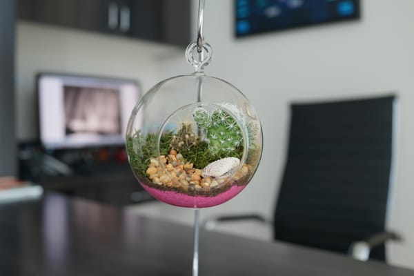 ROOTVISION ENDO - Updated January 2026 - 54 Photos & 212 Reviews - 3663 ...