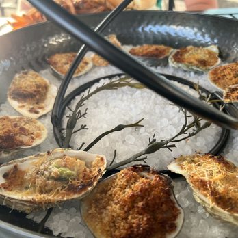 VELVET BELLY - Updated June 2024 - 278 Photos & 87 Reviews - 3 ...