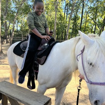 HOUSTON INTERACTIVE AQUARIUM AND ANIMAL ADVENTURE - Updated March 2025 ...