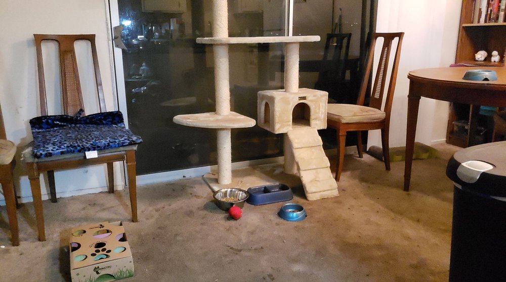 BELINDA’S BUSY BEES CLEANING SERVICE - Updated June 2024 - 17 Photos ...