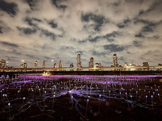 FIELD OF LIGHT AT FREEDOM PLAZA - Updated November 2025 - 54 Photos ...