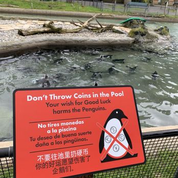 SAN FRANCISCO ZOO - Updated March 2025 - 5528 Photos & 1717 Reviews ...