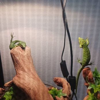 EAST BAY VIVARIUM - 447 Photos & 557 Reviews - 1827 5th St, Berkeley ...