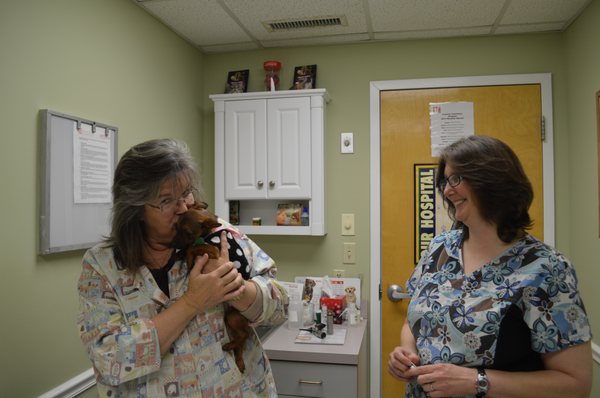 CONOVER VETERINARY HOSPITAL - Updated August 2024 - 75 Photos & 10 ...