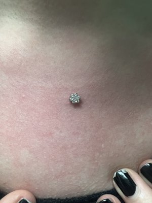 ARTISAN BODY PIERCING AND TATTOO - VIRGINIA BEACH - Updated August 2025 ...