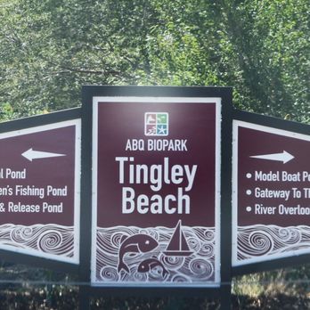 TINGLEY BEACH - Updated December 2025 - 191 Photos & 42 Reviews - 1800 ...