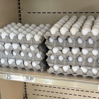 GOLDEN FRESH EGG RANCH - Updated October 2025 - 58 Photos & 81 Reviews ...