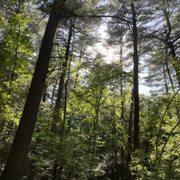BREAKHEART RESERVATION - 197 Photos & 92 Reviews - Parks - 177 Forest ...