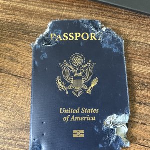 WESTERN PASSPORT CENTER - 52 Photos & 222 Reviews - 7373 E Rosewood St ...