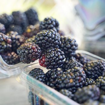 THE BERRY RANCH - Updated December 2025 - 33 Photos & 14 Reviews - 7998 ...