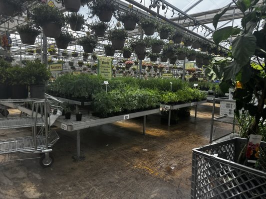 WOLDHUIS FARMS SUNRISE GREENHOUSE - Updated August 2025 - 59 Photos ...