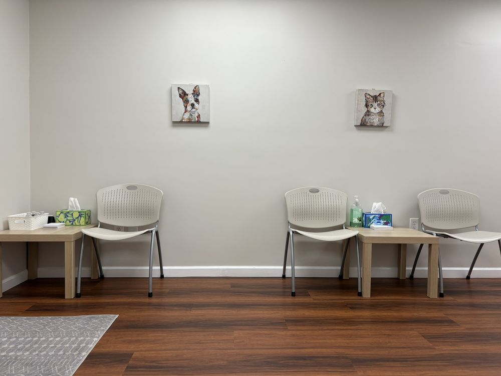 RAHEB PHYSICAL THERAPY - Updated September 2025 - 10 Photos - 266 Main ...