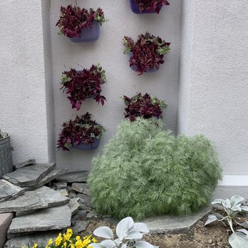 FLOWER HILL PROMENADE - Updated January 2026 - 184 Photos & 52 Reviews ...