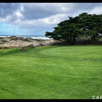 PACIFIC GROVE GOLF LINKS - Updated July 2025 - 174 Photos & 159 Reviews ...