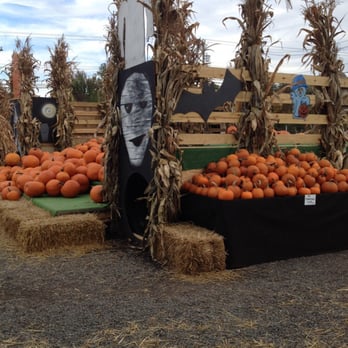 NALLS PRODUCE - Updated October 2025 - 450 Photos & 140 Reviews - 7310 ...