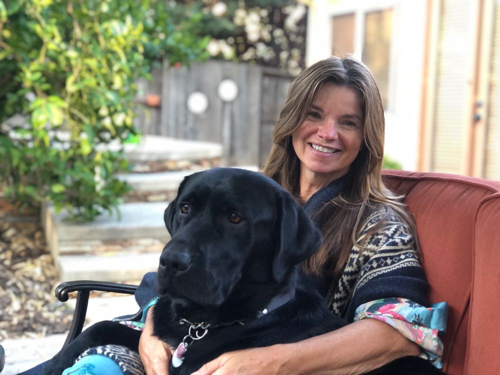 THE DAZZLING DAWG GROOMING SALON - Updated May 2026 - 45 Photos & 37 ...