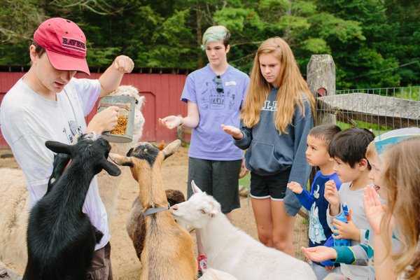 Stonewall Farm - 23 Photos - Farms - 242 Chesterfield Rd, Keene, NH ...