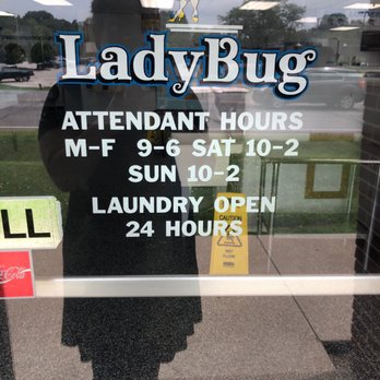 LADYBUG CLEANERS - Updated December 2025 - 1217 W State Rd 2, La Porte ...