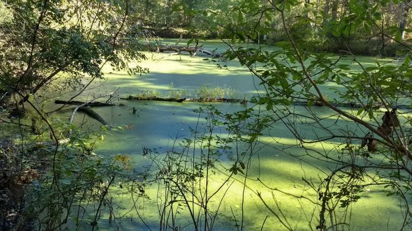 CHEHAW PARK - 74 Photos & 20 Reviews - Parks - 105 Chehaw Park Rd ...