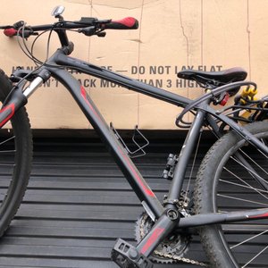 ALAMEDA BICYCLE - 64 Photos & 356 Reviews - Bikes - 1522 Park St ...
