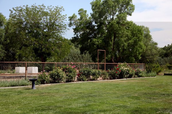 BACA’S TREES - Updated October 2025 - 45 Reviews - 7933 Edith Blvd NE ...