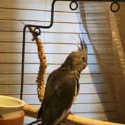 MAGNOLIA BIRD FARM - 146 Photos & 178 Reviews - 8990 Cerritos Ave ...