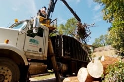 NATIONAL TREE SERVICE - Updated October 2025 - 1991 Alton Rd ...