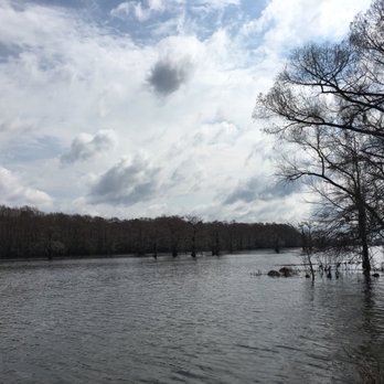 CADDO LAKE NATIONAL WILDLIFE REFUGE - Updated December 2025 - 14 Photos ...
