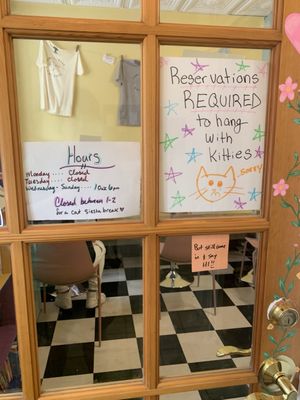 LANCATSTER CAT CAFE - Updated December 2025 - 222 N Duke St, Lancaster ...