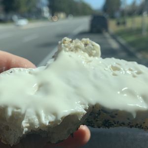 DINK’S DELI & BAGEL BAKERY - Updated April 2025 - 162 Photos & 430 ...