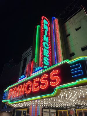 PRINCESS THEATRE CENTER - Updated July 2025 - 15 Photos - 112 2nd Ave ...