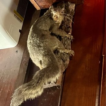 THE YEARLING RESTAURANT - Updated October 2025 - 385 Photos & 184 ...