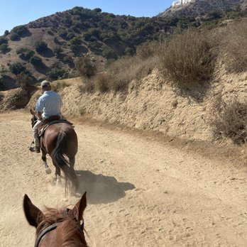 SUNSET RANCH HOLLYWOOD STABLES - Updated December 2024 - 1233 Photos ...