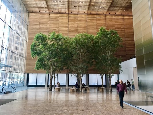 THE CONCOURSE AT COMCAST CENTER - 39 Photos & 51 Reviews - 1701 John F ...