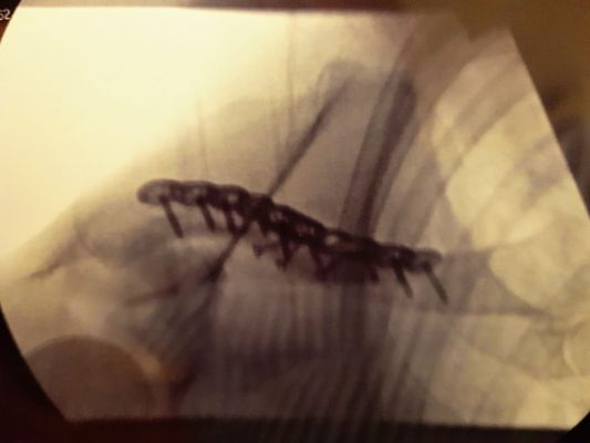 PERRY R SECOR, MD - Updated October 2025 - 31 Reviews - Los Alamitos ...