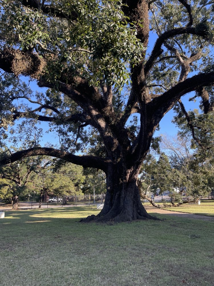 COTTON HALL - Updated October 2025 - 17 Photos - 911 Dauphin St, Mobile ...