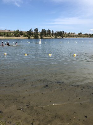 SHADOW CLIFFS REGIONAL RECREATION AREA MARINA - Updated July 2025 - 10 ...