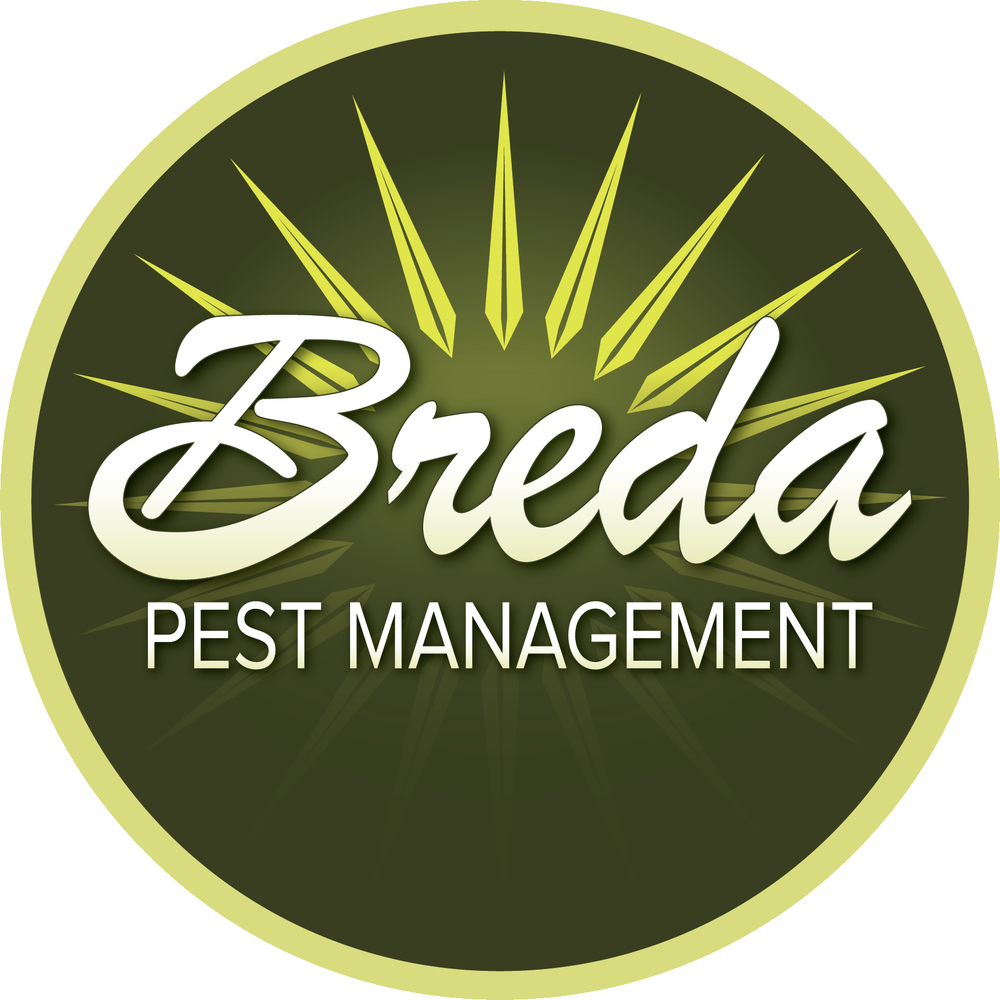 BREDA PEST MANAGEMENT - Updated May 2025 - 11 Photos & 63 Reviews - 742 ...