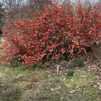 JC RAULSTON ARBORETUM - Updated December 2025 - 693 Photos & 113 ...