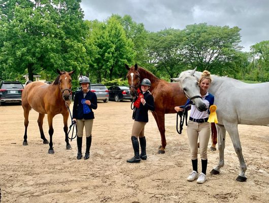 MILLENNIUM FARM - Updated January 2025 - 13 Photos - 36550 Hunt Club Rd ...